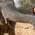 From Delhi: Taj Mahal Tour With Elephant SOS - Key Points