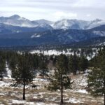 From Denver: Rocky Mountain National Park Winter/Spring Tour - The Experience of the Day