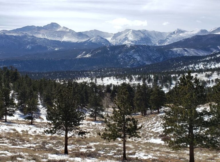 From Denver: Rocky Mountain National Park Winter/Spring Tour - The Experience of the Day