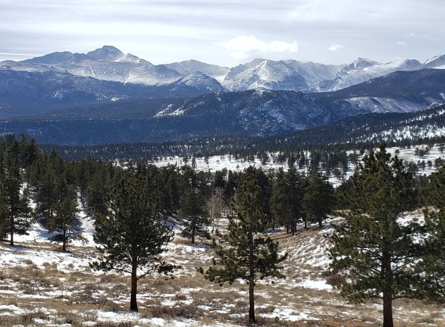 From Denver: Rocky Mountain National Park Winter/Spring Tour - The Experience of the Day