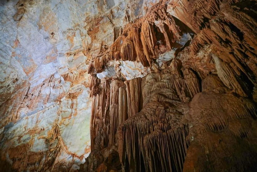 From Dong Hoi: Paradise Cave and Phong Nha Cave Day Trip - Exploring the Itinerary in Detail