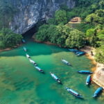 From Dong Hoi: Paradise Cave, Phong Nha Cave Tour, and Lunch - What Makes This Tour Stand Out?