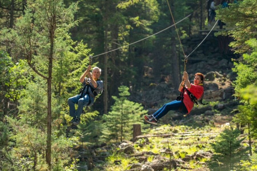 From Durango: All-Day Zipline Adventure with Train & Lunch - Practical Details and Tips
