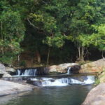 From Ella: Diyaluma Waterfall and Natural Pool Bath Tour - Why This Tour Stands Out