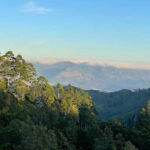 From Ella: Lipton Seat & Dambatenne Tea Factory Day Tour - The Tour in Detail: What to Expect