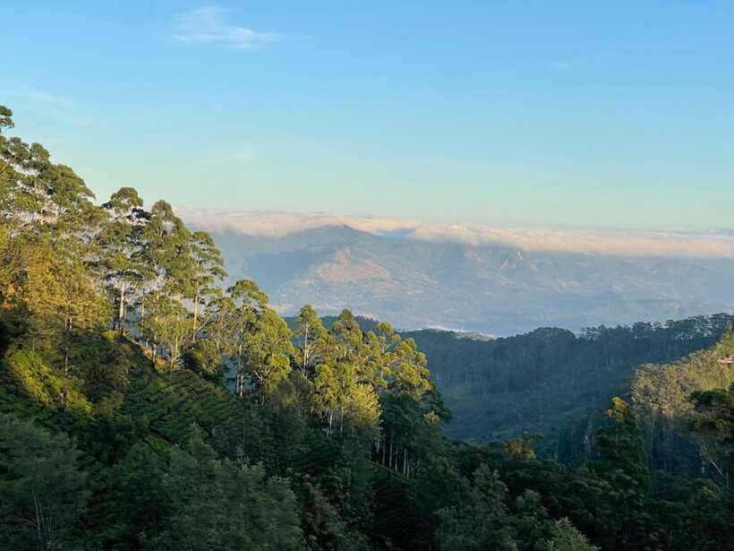 From Ella: Lipton Seat & Dambatenne Tea Factory Day Tour - The Tour in Detail: What to Expect