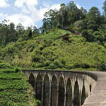 From Ella: Little Adams Peak and Nine Arches Bridge Hiking - Practical Details and What to Expect