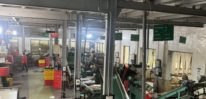 From Ella: Nuwara Eliya Tea Factory and Plantation Tour - Visiting the Tea Factory: Learning and Tasting