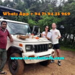 From Ella: Udawalawe National Park safari drop to Ella again - Why Choose This Tour?