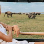From Ella: Udawalawe Safari with Elephant Transit Home Visit - The Experience: What It All Looks Like