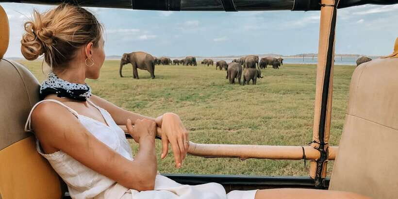 From Ella: Udawalawe Safari with Elephant Transit Home Visit - The Experience: What It All Looks Like