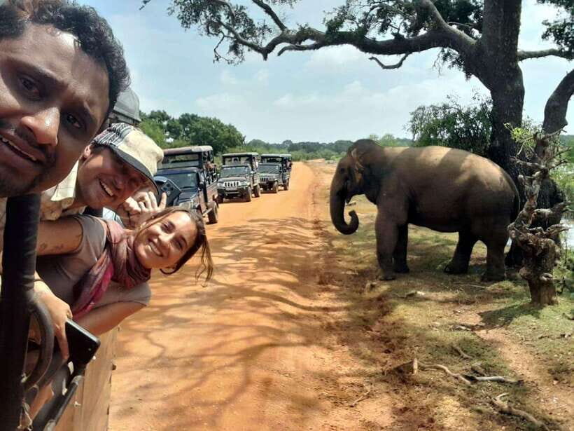 From Ella: Yala National Park safari & drop to Ella again - Who Is This Tour Best For?