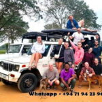 From Ella: Yala safari & Drop Tangalle / Mirissa / Galle - What You Can Expect from the Experience