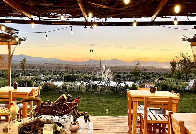 From Ensenada: Ojos Negros Valley Cheese & Wine Tasting Tour - The Breakdown: How the Itinerary Unfolds