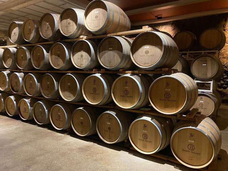 From Ensenada: Wine Tour at Guadalupe Valley Ensenada - The Itinerary Breakdown