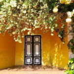 From Galle/Hikkaduwa: Discover Lunuganga & Brief Garden - Discovering Lunuganga: A Tropical Renaissance