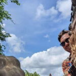 From Galle/Mirissa/Hikkaduwa- Udawalawe National Park Safari - A Closer Look at the Connecting Itinerary