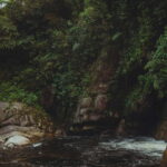 From Galle or Mirissa: Sinharaja Rainforest Day Trip - The Wildlife Experience