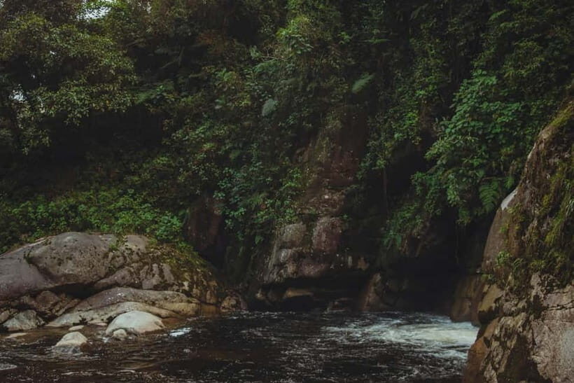 From Galle or Mirissa: Sinharaja Rainforest Day Trip - The Wildlife Experience