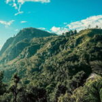 From Galle/Weligama/Mirissa: Day Trip to Ella Highlands - Detailed Breakdown of the Itinerary