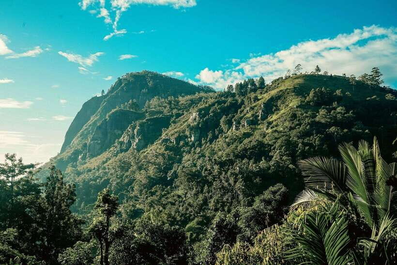 From Galle/Weligama/Mirissa: Day Trip to Ella Highlands - Detailed Breakdown of the Itinerary