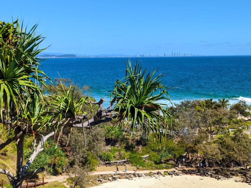 From Gold Coast: Byron Bay and Bangalow Day Tour - A Detailed Look at the Itinerary