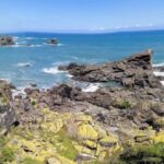 From Greymouth: Highlights West Coast Day Tour - The Itinerary Breakdown