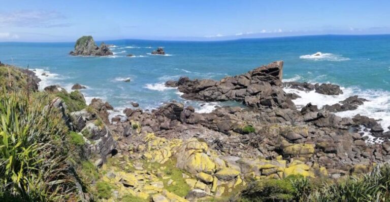 From Greymouth: Highlights West Coast Day Tour - The Itinerary Breakdown