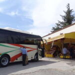 From Guadalajara: Chapala - Ajijic Tour - How Do Reviews Reflect the Experience?