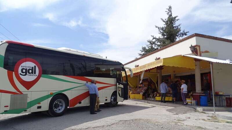 From Guadalajara: Chapala - Ajijic Tour - How Do Reviews Reflect the Experience?