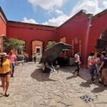 From Guadalajara: La Rojeña Distillery & Jose Cuervo Train - What Travelers Are Saying