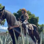 From Guadalajara: Tequila Town and Cantaritos El Guero - Exploring the Experience: What You Can Expect