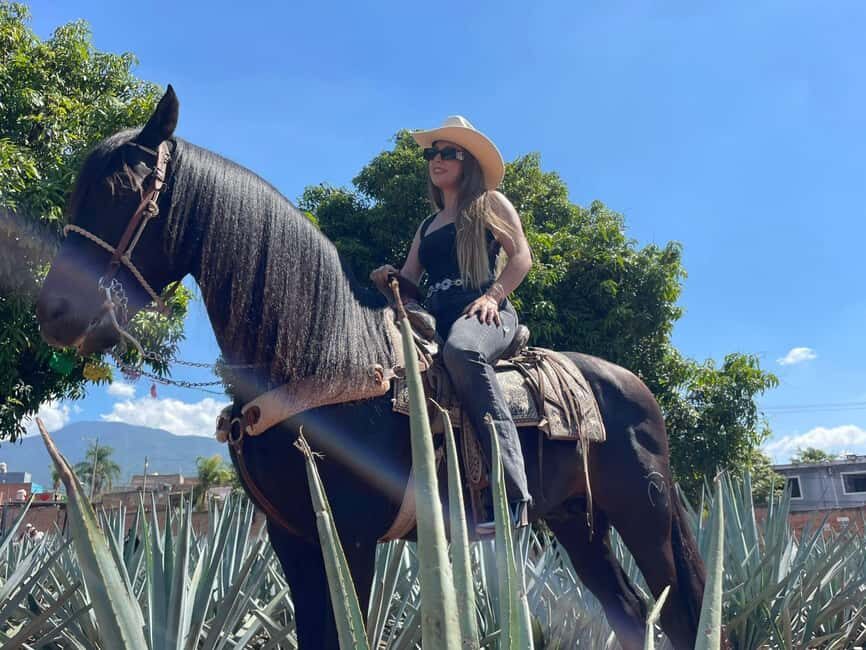 From Guadalajara: Tequila Town and Cantaritos El Guero - Exploring the Experience: What You Can Expect