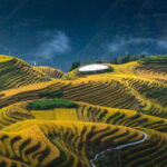 From Guilin: 1-Day Private Longji Rice Terraces Tour - The Value of This Tour