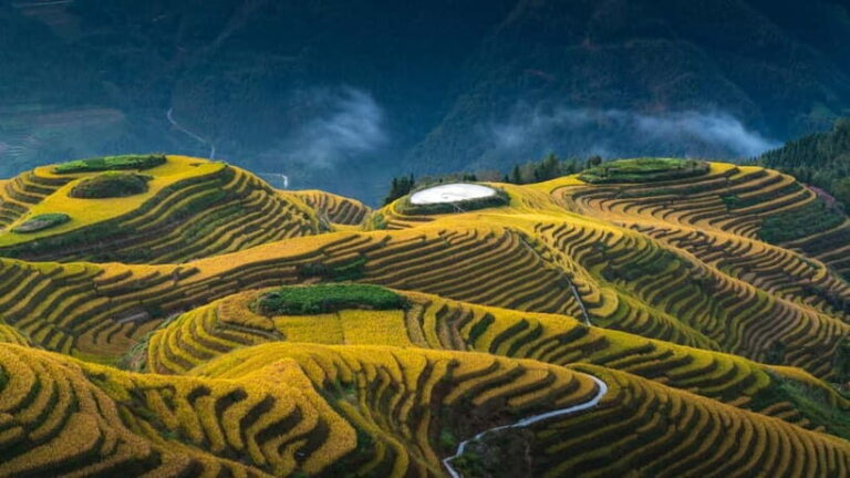 From Guilin: 1-Day Private Longji Rice Terraces Tour - The Value of This Tour