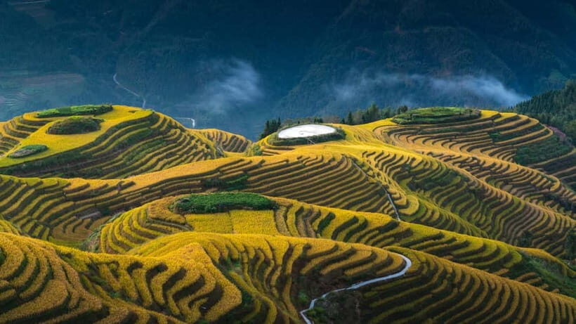 From Guilin: 1-Day Private Longji Rice Terraces Tour - The Value of This Tour