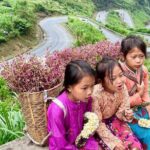 From Ha Giang: 4 Days and 3 Nights Loop Motorbike Tour - Deep Dive into the Itinerary