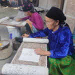 From Hà Giang: 7-Day Spring Holiday Journey - Transport, Accommodation, and Guides