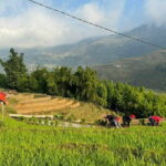 From Hà Ni ; Mu Cang Chai 3 Days 2 Nights By Car and Trekking - FAQ