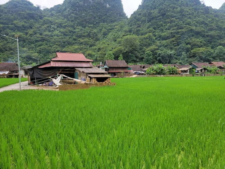From Ha Noi: Cao Bang Loop Group Motorbike Tour 2 Day - Day 2: Caves, Pagodas, and Mountain Peaks