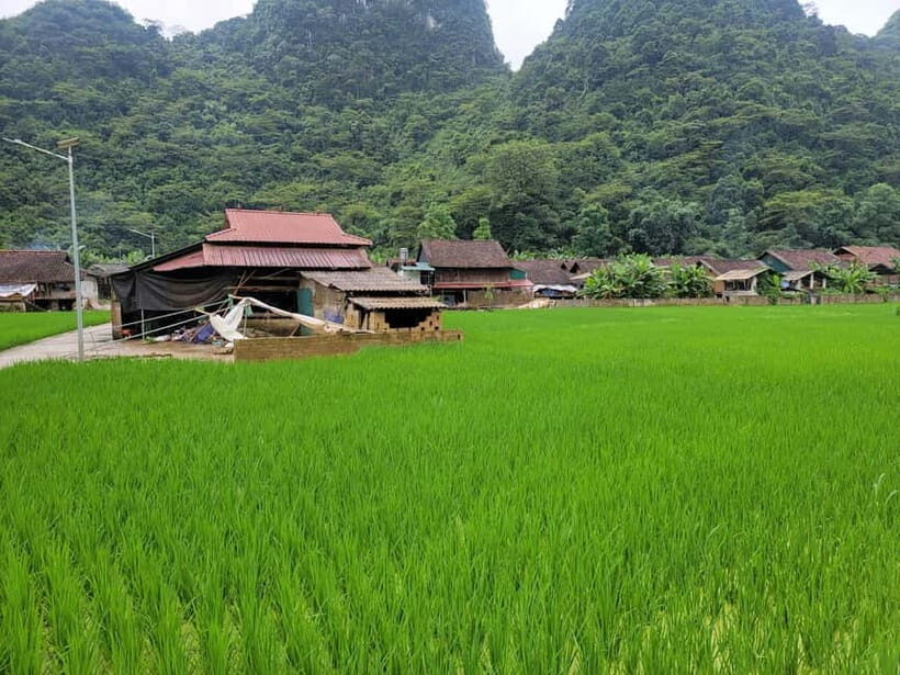 From Ha Noi: Cao Bang Loop Group Motorbike Tour 2 Day - Day 2: Caves, Pagodas, and Mountain Peaks