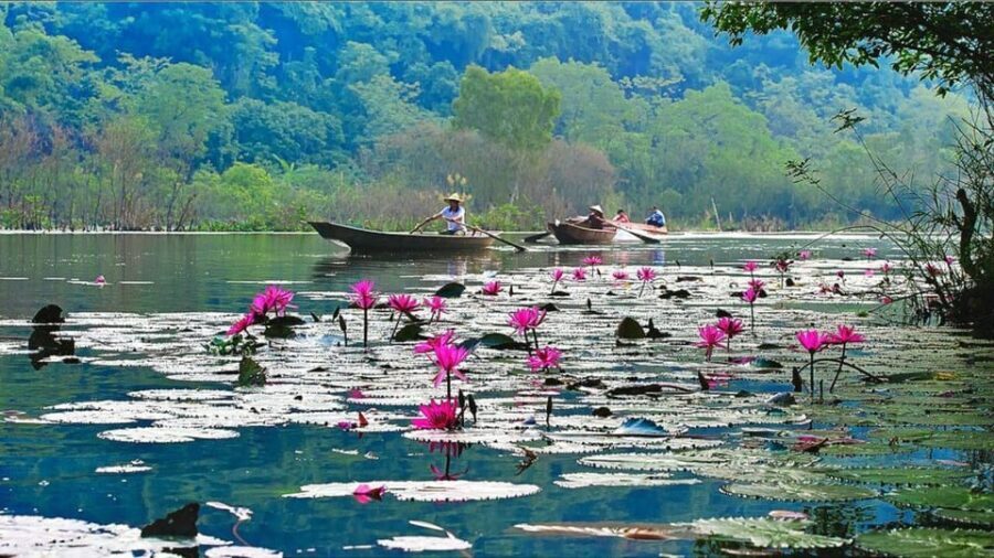 From Ha Noi: Visit Perfume Pagoda In 1 Day - The Climb and Cave Exploration