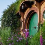 From Hamilton Hobbiton Waitomo Glowworm Caves 1 Day Private Tour - Detailed Breakdown of the Itinerary