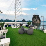 From Hanoi: 1-Day Halong 5-Star Cruises with Big & Small Groups - Highlight Stops and Activities