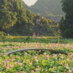 From Hanoi: 2-Day Ninh Binh Nature & Culture Explorer - Practical Considerations and Value