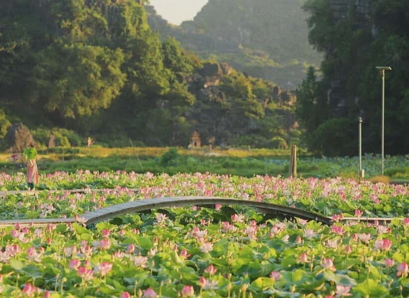 From Hanoi: 2-Day Ninh Binh Nature & Culture Explorer - Practical Considerations and Value