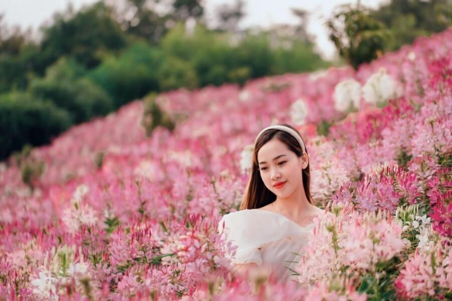 From Hanoi: 2-Day Sapa, Fansipan, and Muong Hoa Valley Tour - Transportation and Comfort