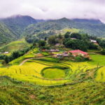 From Hanoi: 2-Day Sapa Trek Tour - Luxury Limousine Transfer - Who Should Consider This Tour?