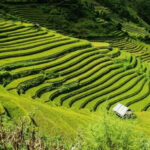 From Hanoi: 2-Days Sapa Trekking Tour Lao Chai and Cat Cat - Authenticity and Cultural Encounters