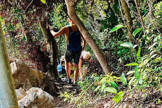 From Hanoi: 2D1N Adventure Cat Ba National Park, Lan Ha Bay - Who Should Consider This Tour?
